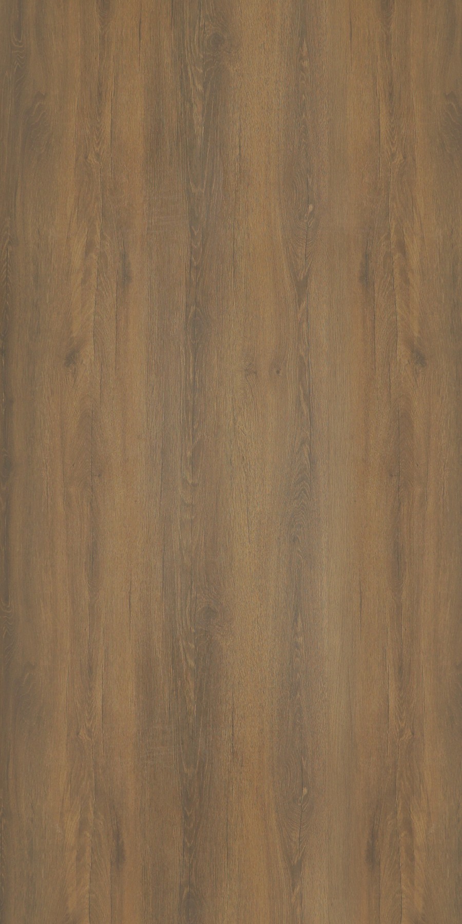 Oak Fissure - HPL - Laminates - Collection