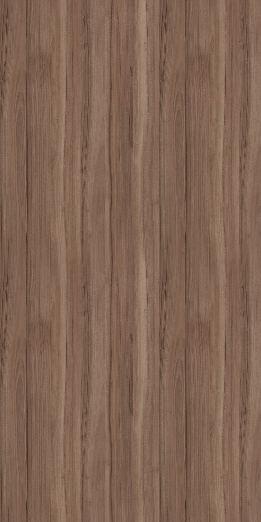 Austin Walnut Laminates - Greenlam