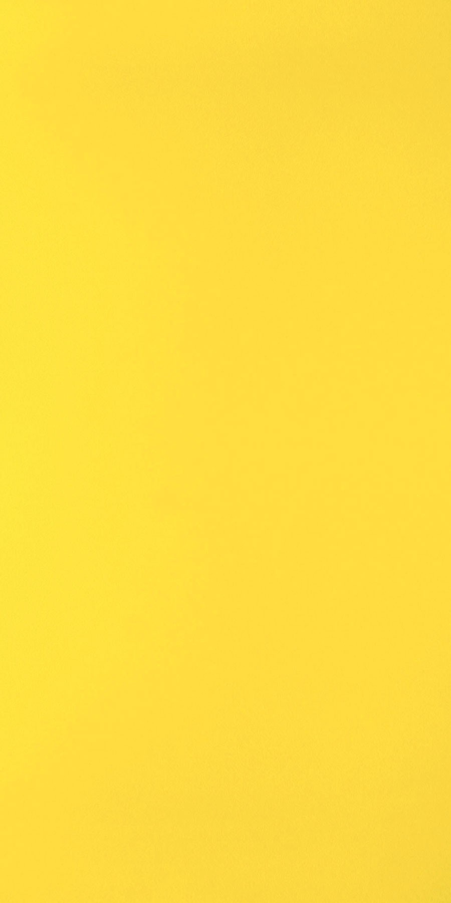 Divine Yellow Laminates - Greenlam