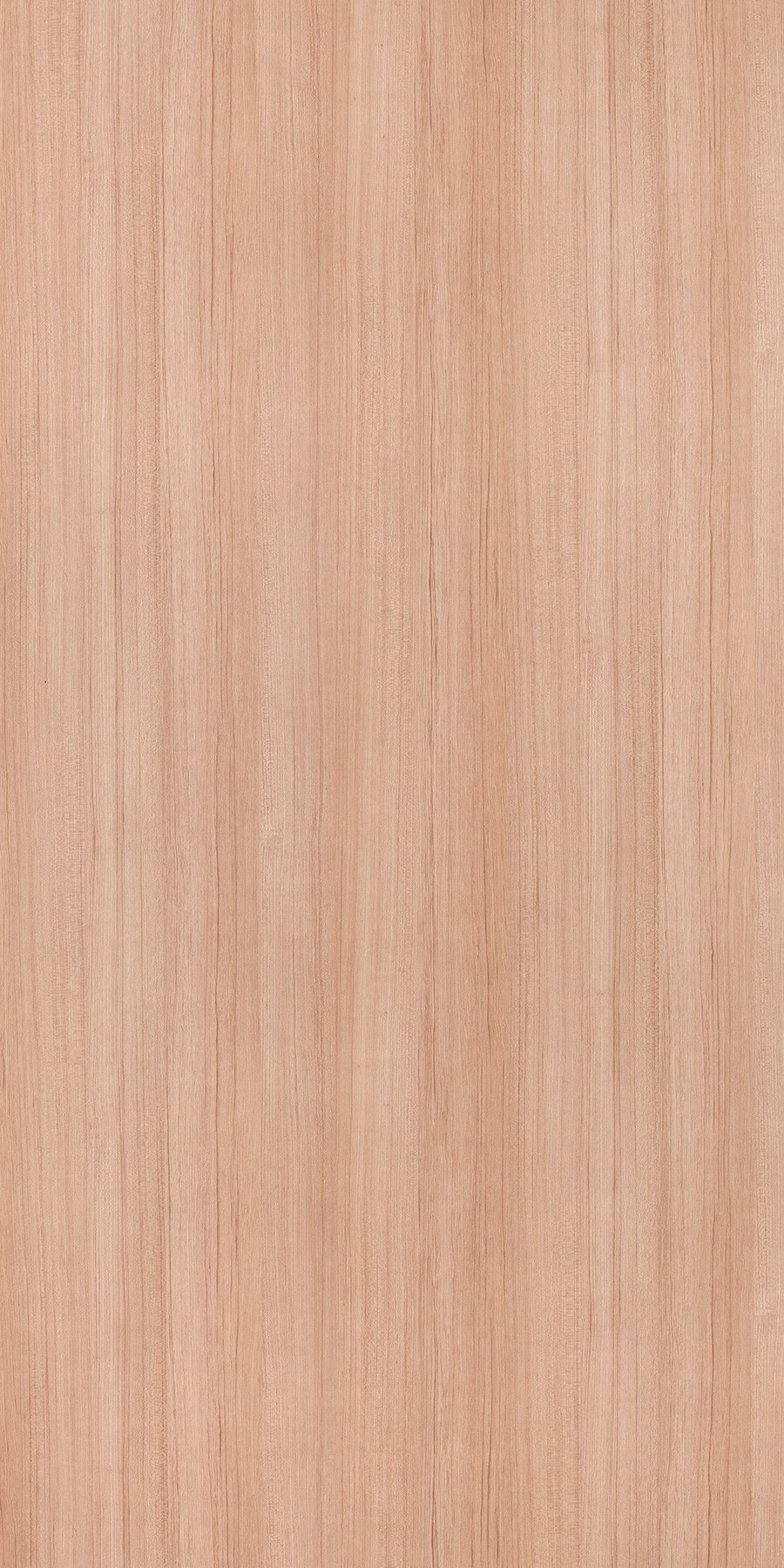 Philippine Teak