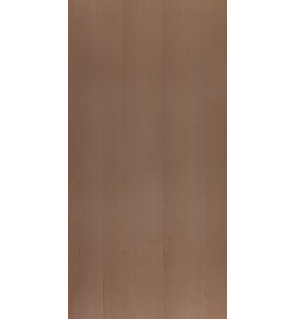 Steam Beech Laminates - Greenlam