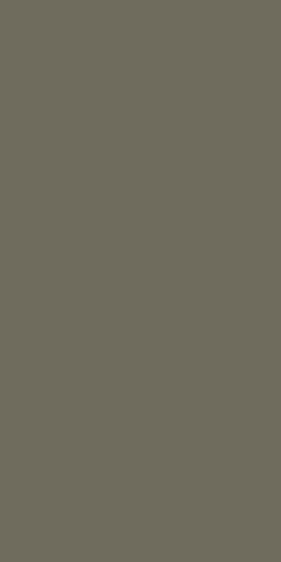 Pine Nut